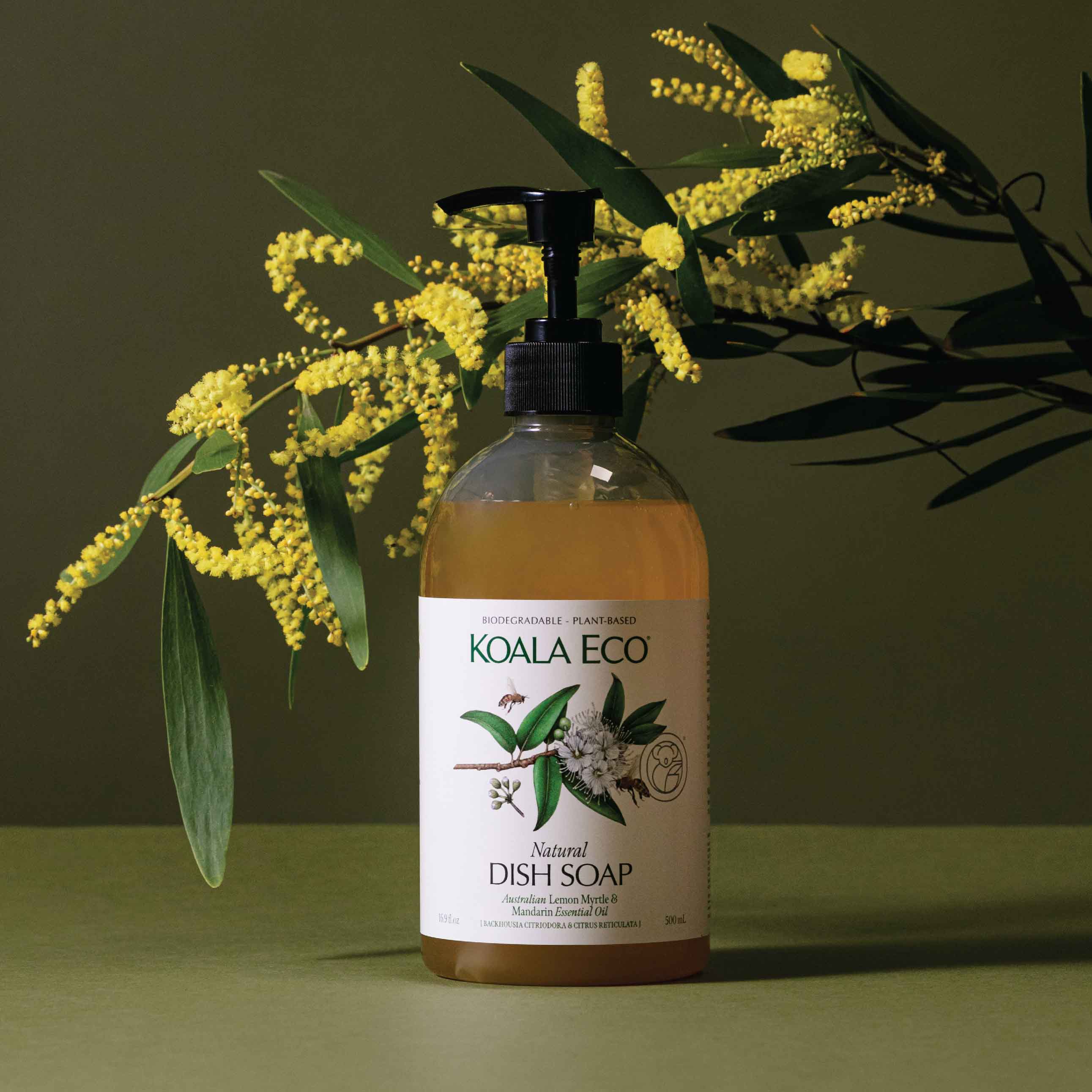 The underrated cleaning multitasker that's already in your kitchen – KOALA ECO