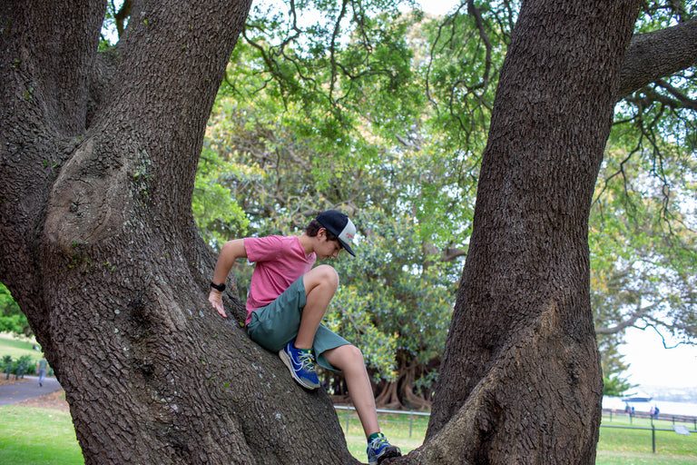 How trees can teach us self-compassion – KOALA ECO