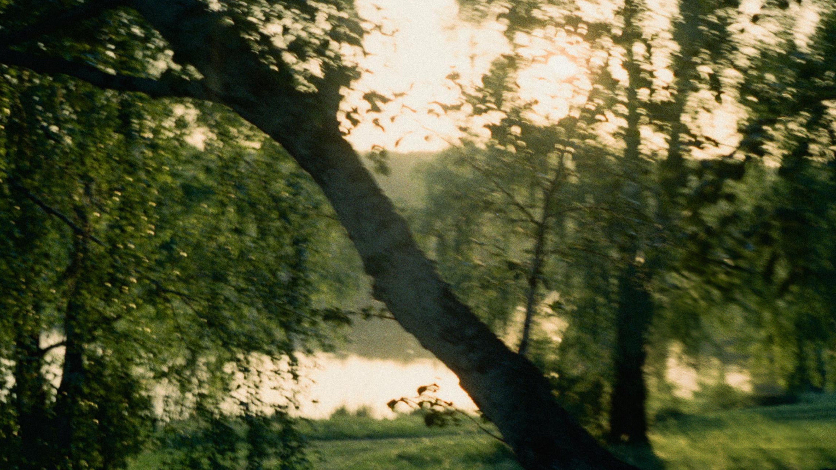 Ten things we love about this amazing ‘Experiment in Green’ – KOALA ECO