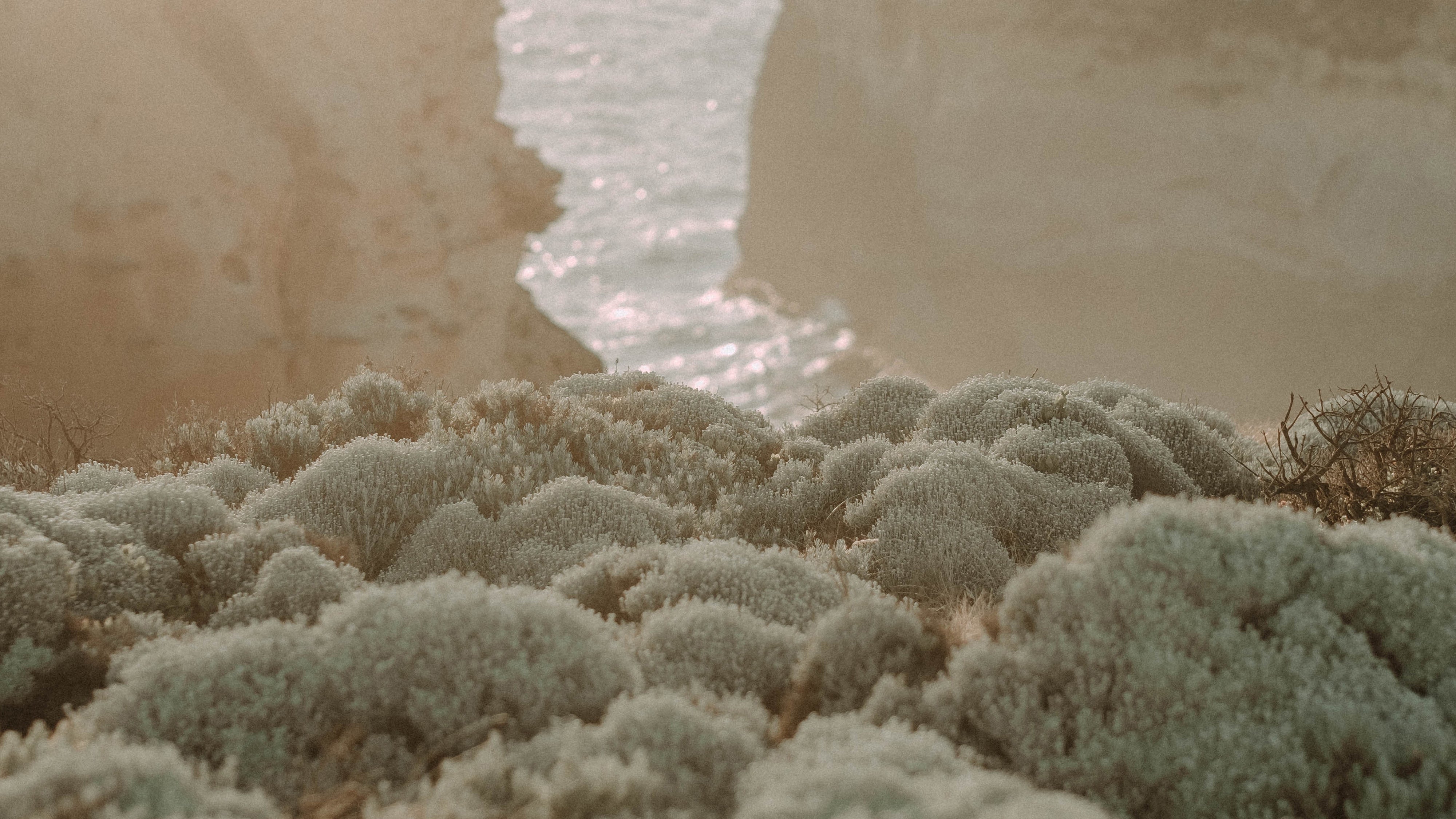 How Spending Time In Nature Can Benefit Your Mental Health – KOALA ECO