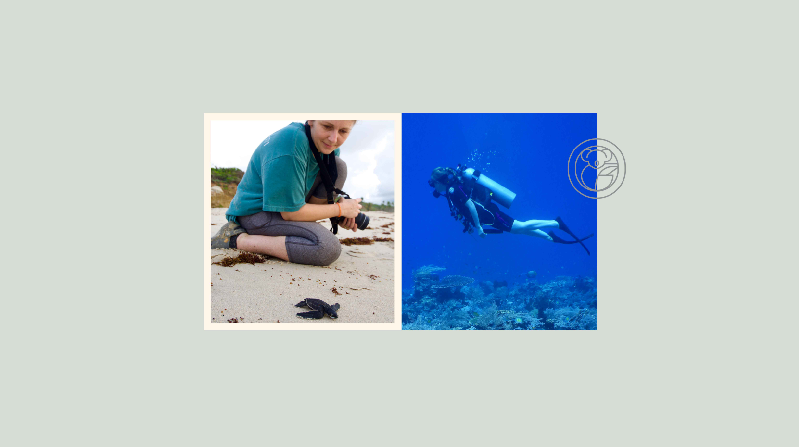 How nature calms the noise of everyday life for Rosie Jeffrey – KOALA ECO