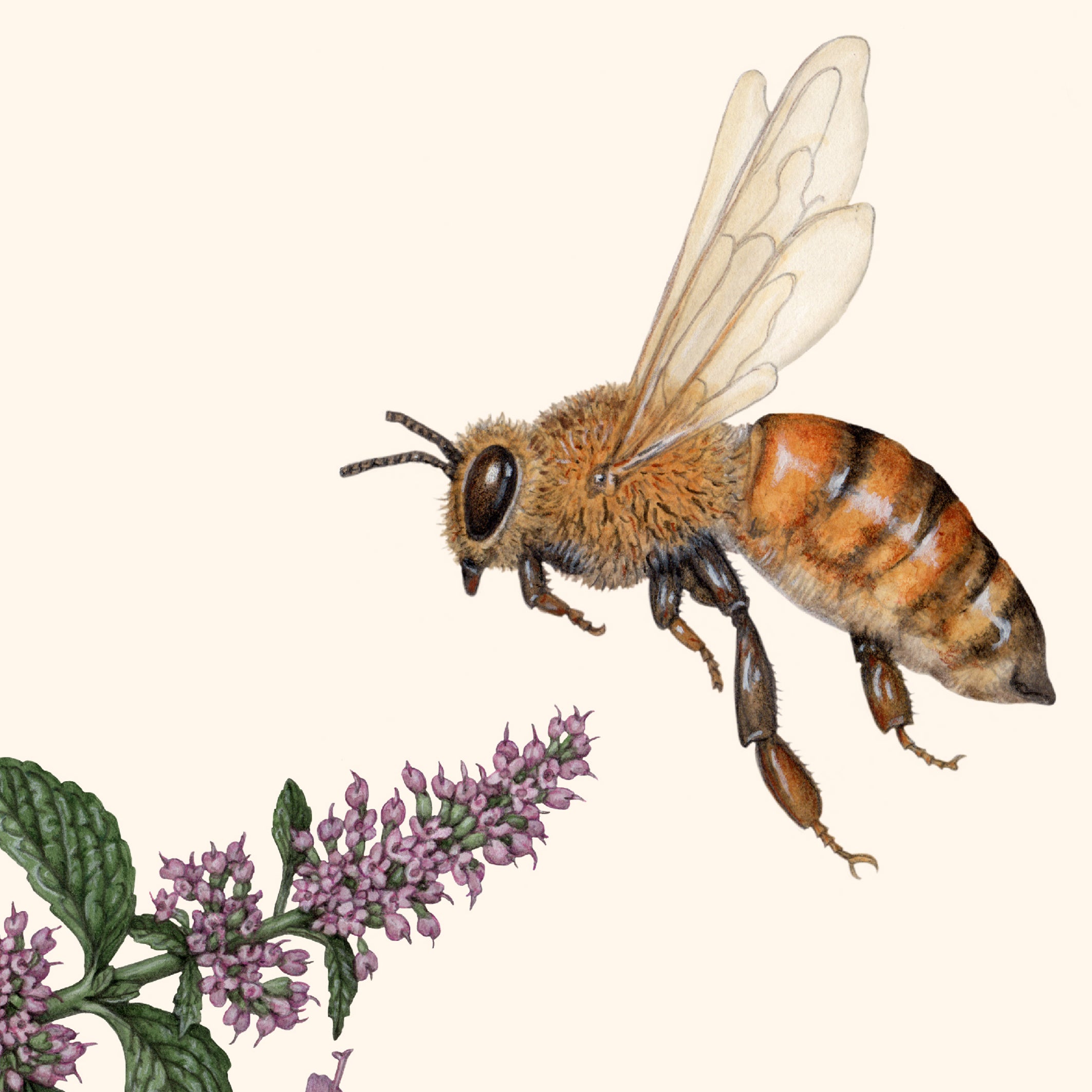 Who is 1% For The Planet and why do we LOVE supporting them? – KOALA ECO