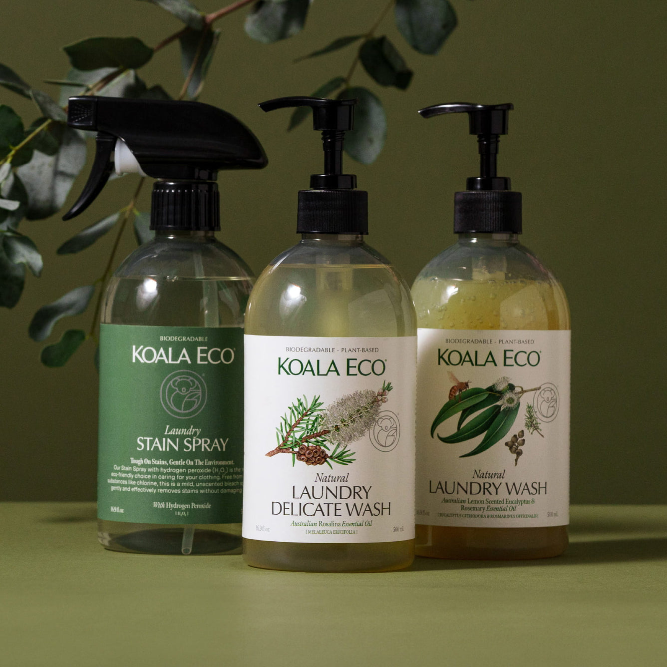 All Products – KOALA ECO