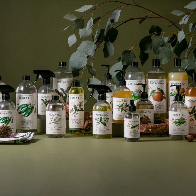 All Products – KOALA ECO